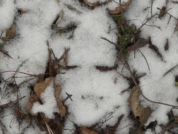 frozen ground texture 0036 - Texturelib